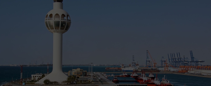 Saudi Arabia´s main exports and imports | iContainers