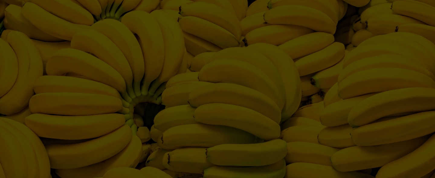 Friday Fun Fact #8: Ships Can Hold 745 Million Bananas